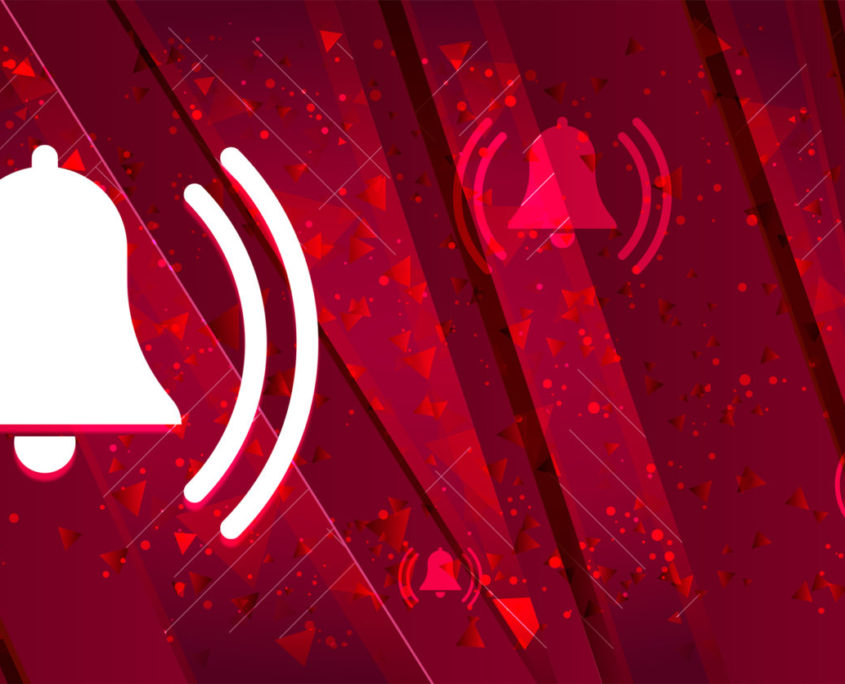 Audit Assistance | PAAS National